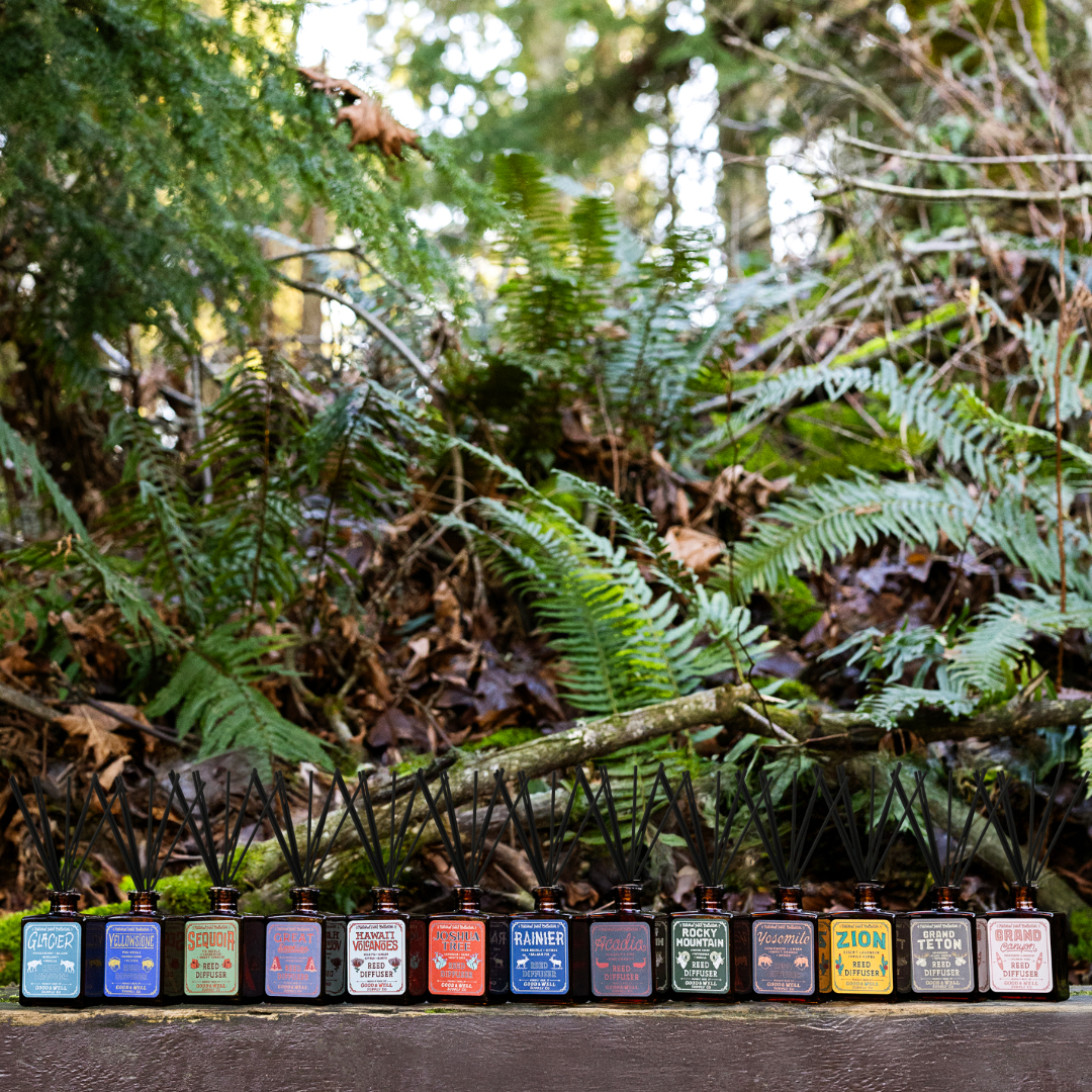 Hawaii Volcanoes National Park Reed Diffuser – BiteMyWood
