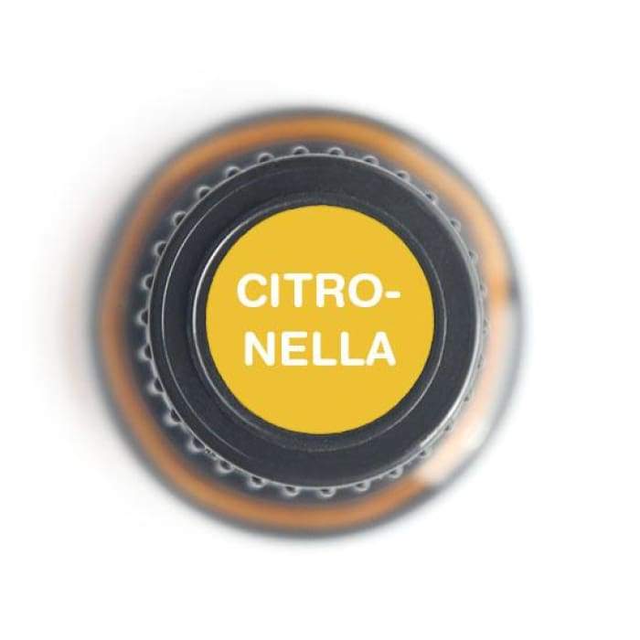 Citronella Pure Essential Oil - 15ml – BiteMyWood